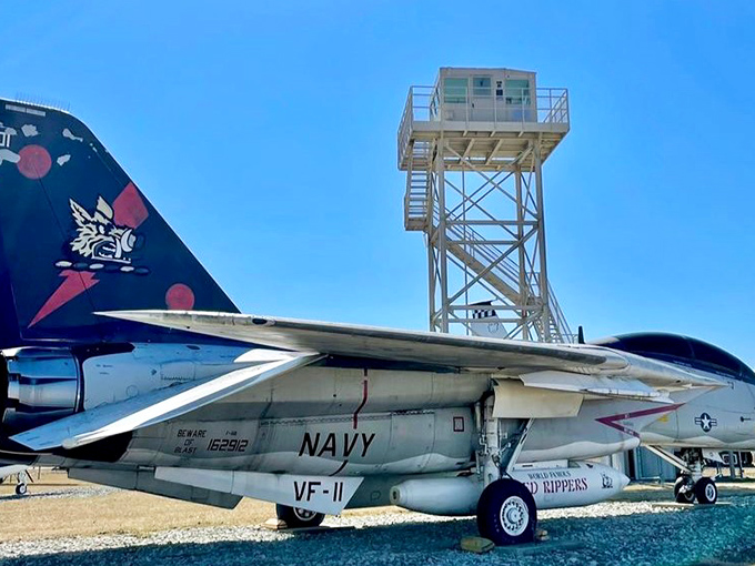 The Navy's F-14 Tomcat sports distinctive tail markings. Before Tom Cruise made it famous in "Top Gun," this fighter was already the real star.