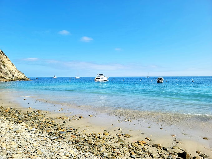 Hamilton Beach's crystal waters and gentle shoreline make it hard to believe Los Angeles is just an hour away. Island time begins here.