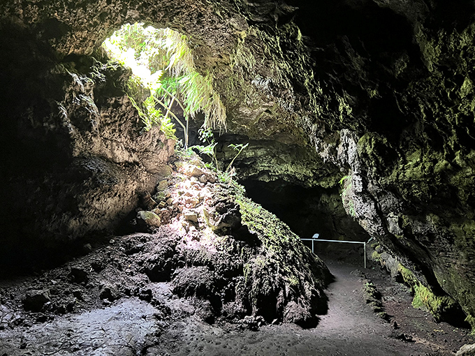 Nature's cathedral: Hana's lava tubes prove that sometimes the most impressive architecture happens underground, where darkness reveals unexpected beauty.