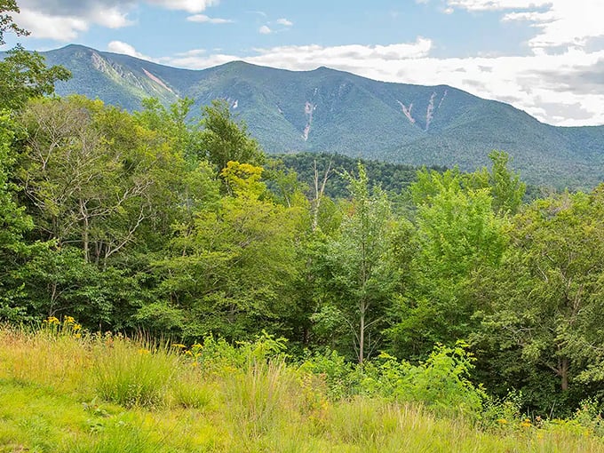 At Hancock Overlook, the mountains layer themselves like a geological lasagna, each ridge a different shade of breathtaking.