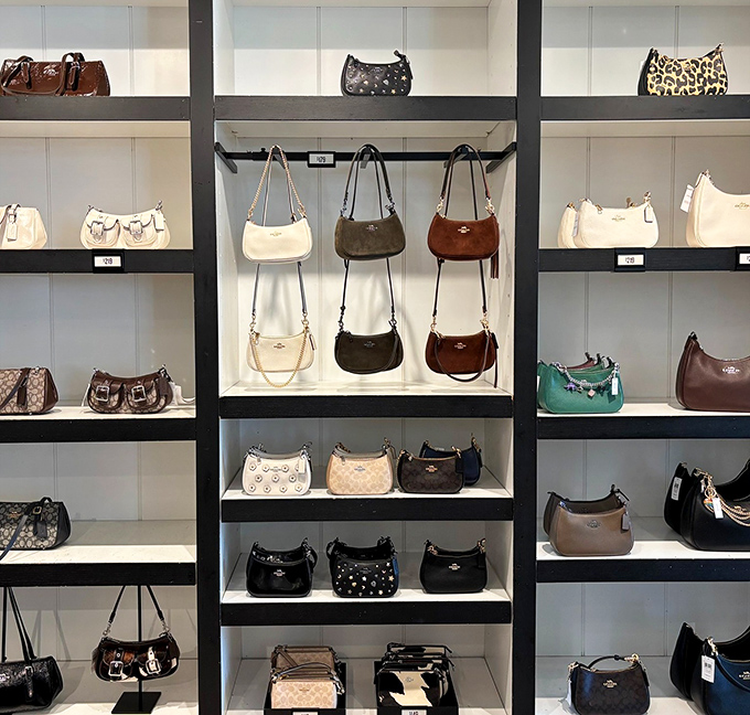 Coach handbags displayed like gallery pieces, offering designer elegance without requiring you to explain the credit card statement later.