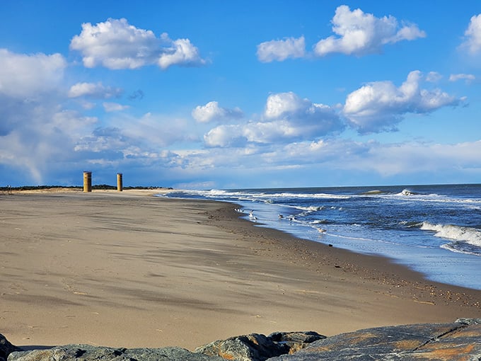 Cape Henlopen's beaches stretch for miles, offering the rare combination of pristine sand and zero crowds. It's like having your own private beach without the billionaire price tag.