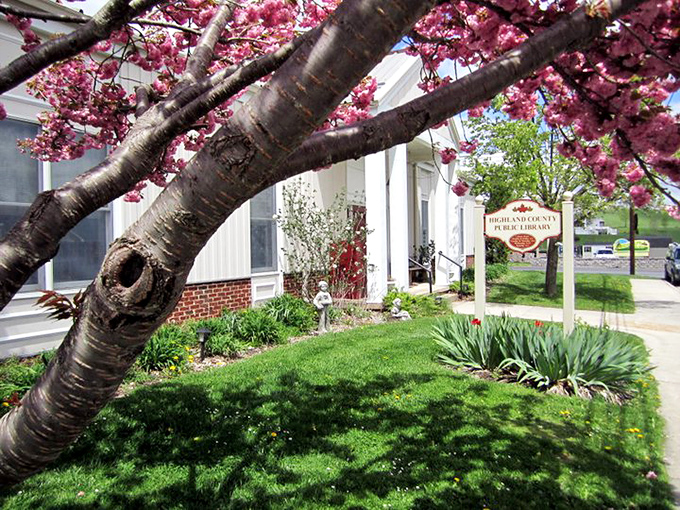 Cherry blossoms frame the Highland County Public Library, where stories bloom inside and out.