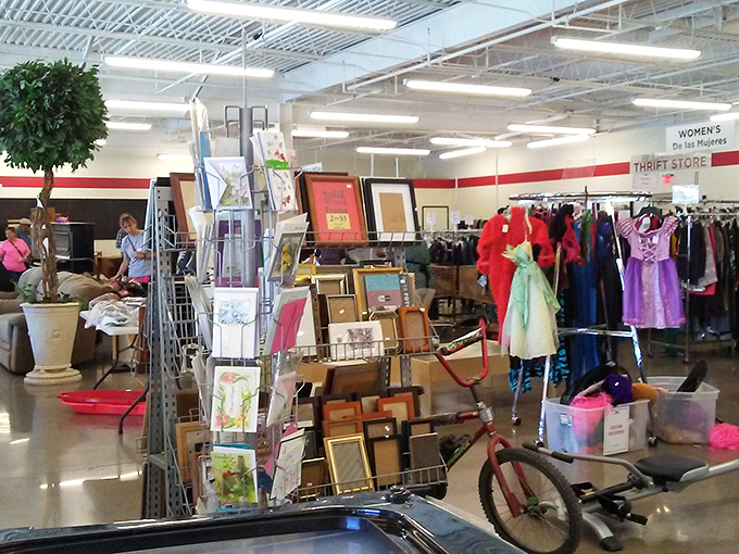 A forest of picture frames and home accents awaits, perfect for those who believe a house isn't a home without personal touches.