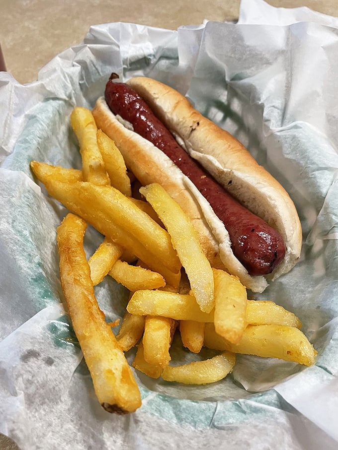 Sometimes the simplest pleasures are the best&mdash;a perfectly grilled hot dog nestled in a soft bun with a side of crispy fries.