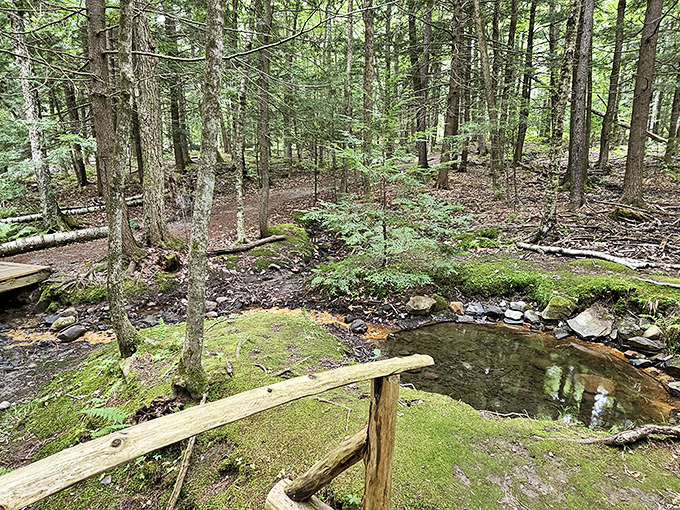 Nature's therapy comes free of charge on Farmington's trails, where the only prescription needed is comfortable shoes and a willingness to wander.