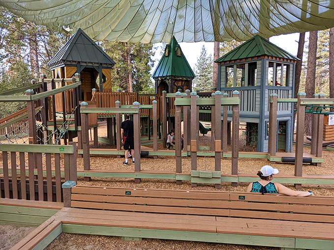 The community playground nestled among towering pines proves that even paradise needs a place for kids to play.