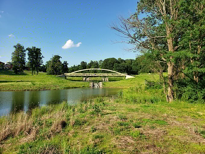 Nature provides the perfect backdrop at Jasper Parklands, where this picturesque bridge connects more than just two sides of a pond.