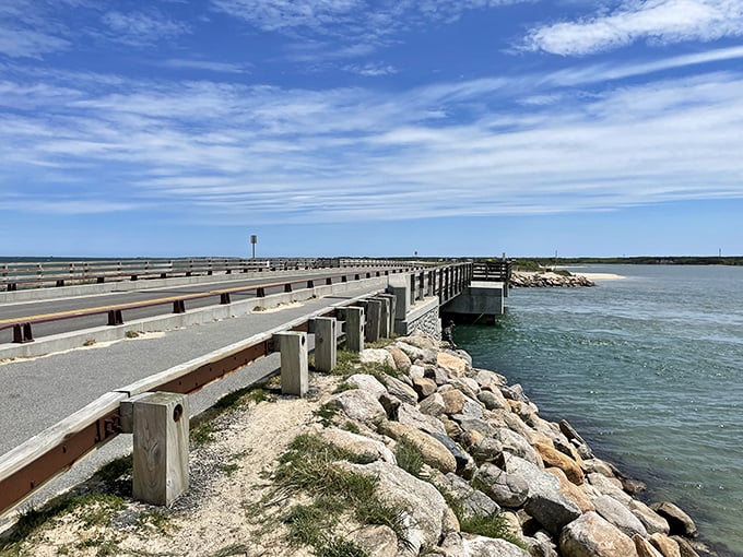 The bridge to adventure: This simple crossing connects Edgartown to Katama, offering views that make even a short drive feel like a scenic expedition.
