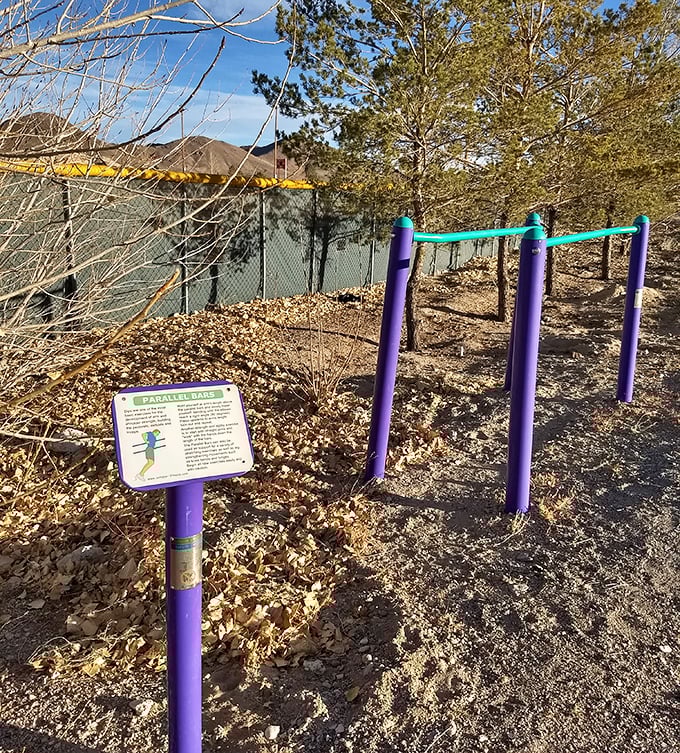 Even in the desert, Tonopah makes room for fitness with these purple parallel bars&mdash;because retirees need somewhere to hang upside down.