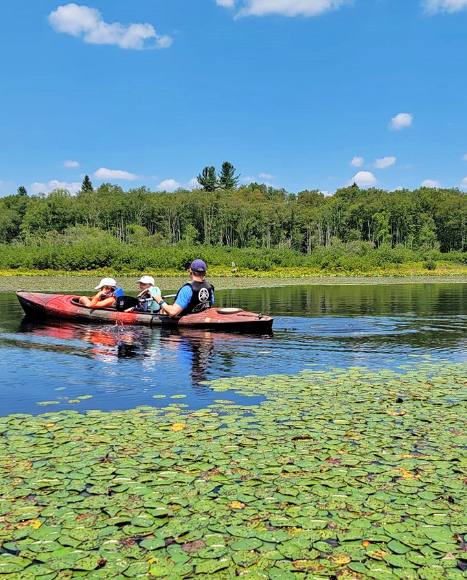 Lily pad paradise with room for paddling. Gliding through these floating gardens feels like navigating through a Monet painting come to life.