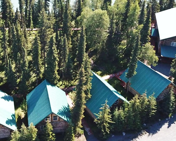 These cabins aren't playing hide and seek with the forest &ndash; they're embracing it in a perfect woodland hug.