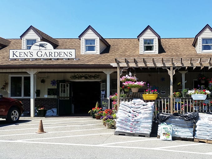 Ken's Gardens bursts with colorful blooms and practical gardening supplies. It's a plant-lover's paradise where your green thumb gets greener just by walking through the door.