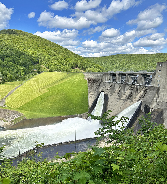 Not Chapman State Park but likely Kinzua Dam nearby. Mother Nature meets human ingenuity in this impressive structure that controls water with magnificent force.