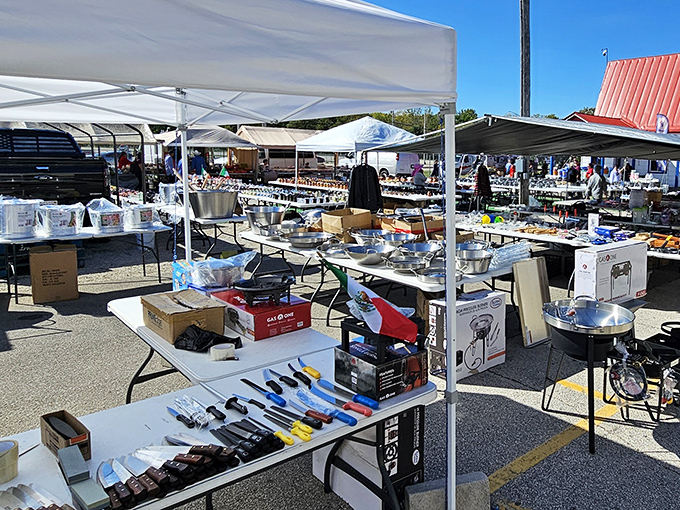 Pots, pans, and kitchen gadgets spread out like a culinary yard sale that Martha Stewart might secretly enjoy.