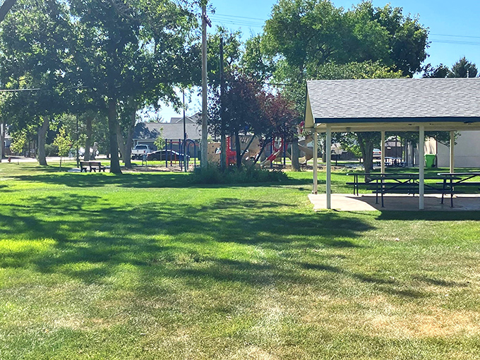 Kohler Park offers the simple pleasures of shade trees and picnic pavilions—where community gatherings happen and lifetime memories are made.