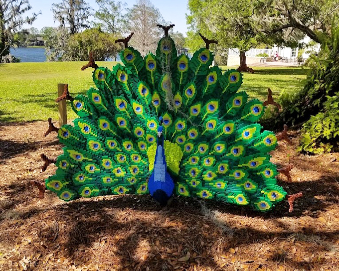 When LEGO meets landscaping: this peacock proves creativity blooms in many forms, no batteries or instruction manual required.