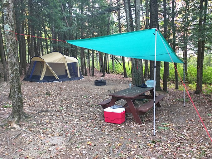 Camping in Winchendon means waking up to birdsong instead of alarm clocks, with pine-needle carpeting that outclasses any five-star hotel flooring.