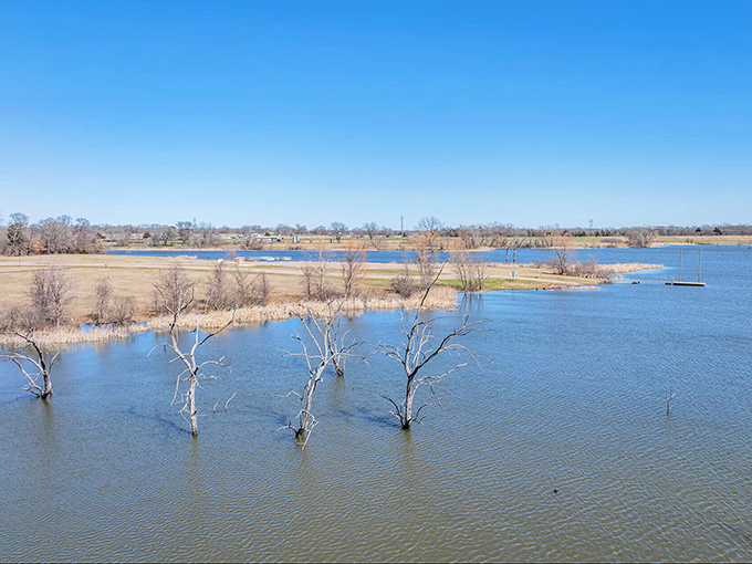 Lake Durant Park offers tranquil waters and skeletal trees creating nature's sculpture garden&mdash;free entertainment at its finest.