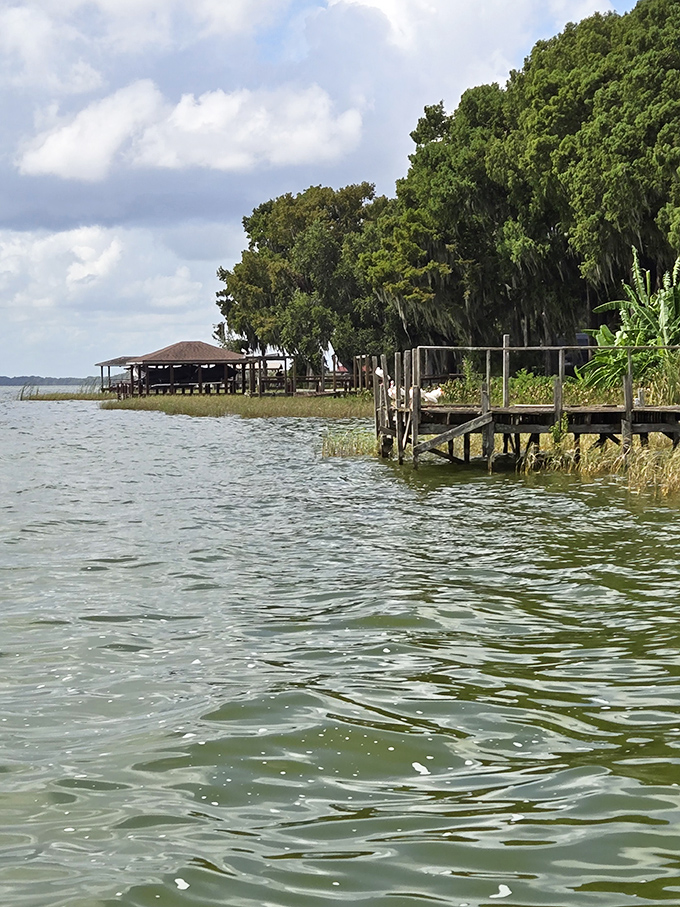 Wooden docks stretch into Lake Eustis like nature's welcome mat, inviting you to step closer to that perfect Florida tranquility.