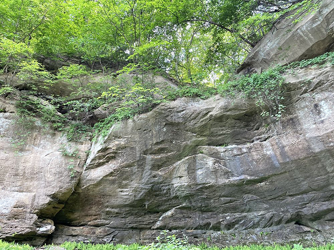 Towering sandstone cliffs tell Earth's story one sedimentary layer at a time&mdash;nature's library where each stratum is a chapter millions of years in the making.