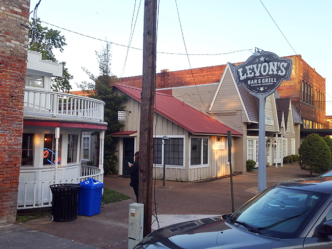 Levon's Bar & Grill looks unassuming, but that's the Delta way – the most life-changing meals often hide behind the most modest facades.
