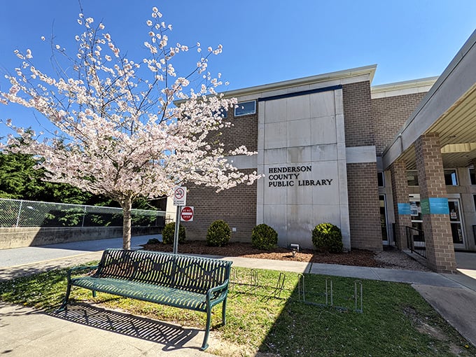 The Henderson County Public Library welcomes spring with cherry blossoms and the promise of endless adventures waiting just beyond its doors.
