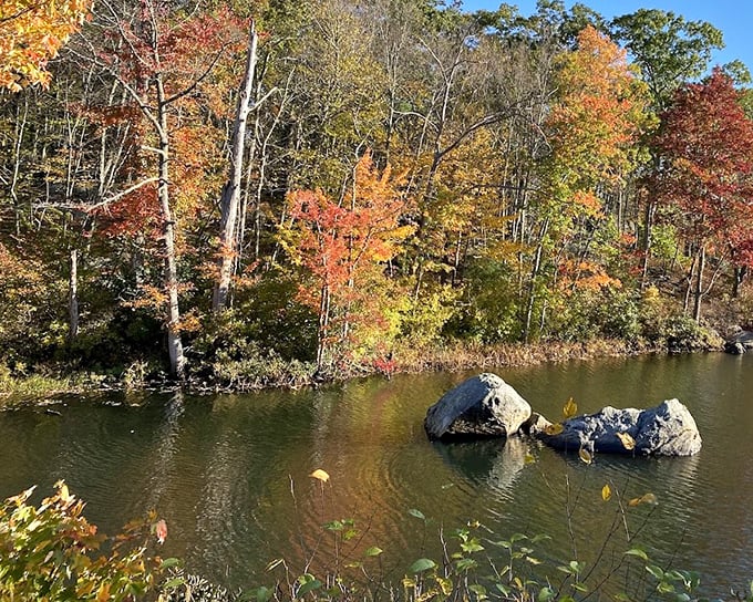 Lincoln Woods State Park's fall foliage creates a kaleidoscope of color that makes even seasoned New Englanders stop and stare.