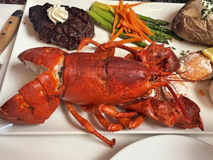 When surf meets turf, it's not just a meal&mdash;it's a maritime-terrestrial summit with this magnificent Maine lobster stealing the spotlight.