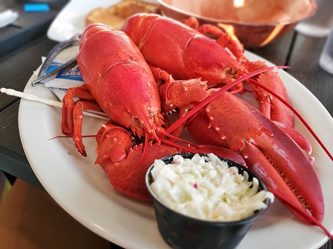 When your dinner stares back at you, but you don't mind one bit. These magnificent red creatures are the celebrities of the seafood world for good reason.
