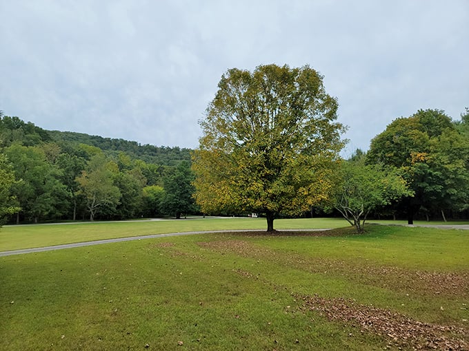 The park's open meadows offer a peaceful contrast to rugged trails&mdash;nature's version of the "rest day" between workouts.