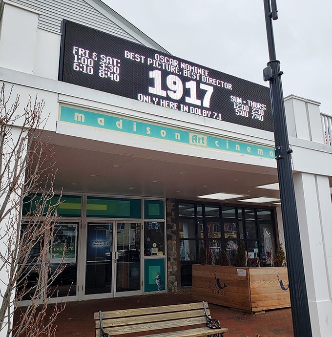 Madison Cinemas proves some experiences can't be streamed. That moment when the lights dim and strangers become a temporary community? Priceless.