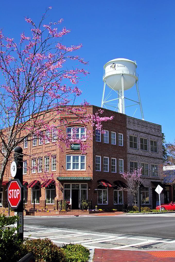 Spring in Senoia brings redbud trees and that small-town magic that Hallmark keeps trying to bottle and sell us every Christmas.