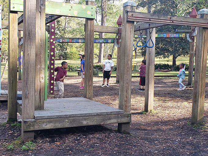 Mason Park's playground invites the kind of carefree childhood adventures that seem increasingly rare in our screen-dominated world.