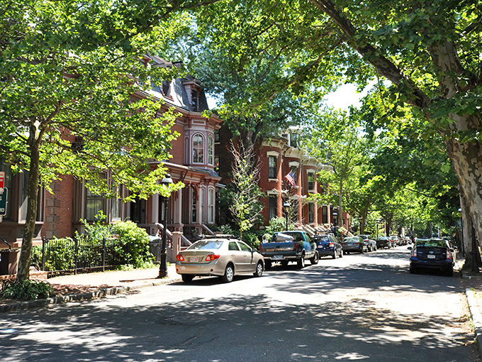 Tree-lined streets in historic neighborhoods showcase Victorian architecture that would command premium prices elsewhere but remains surprisingly attainable in Springfield.