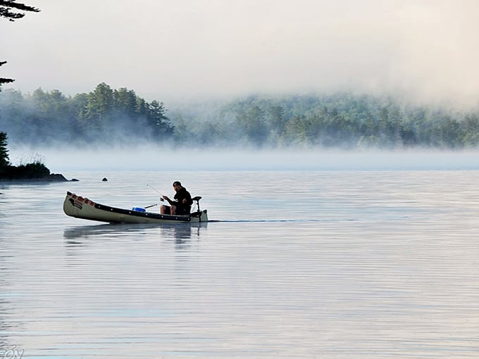 Morning mist turns an ordinary canoe trip into a scene from a fantasy novel &ndash; half-expecting a wizard to emerge from those ethereal woods.