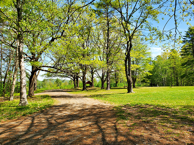 Moody Park's sun-dappled trails offer the perfect antidote to doom-scrolling &ndash; nature's version of a digital detox.