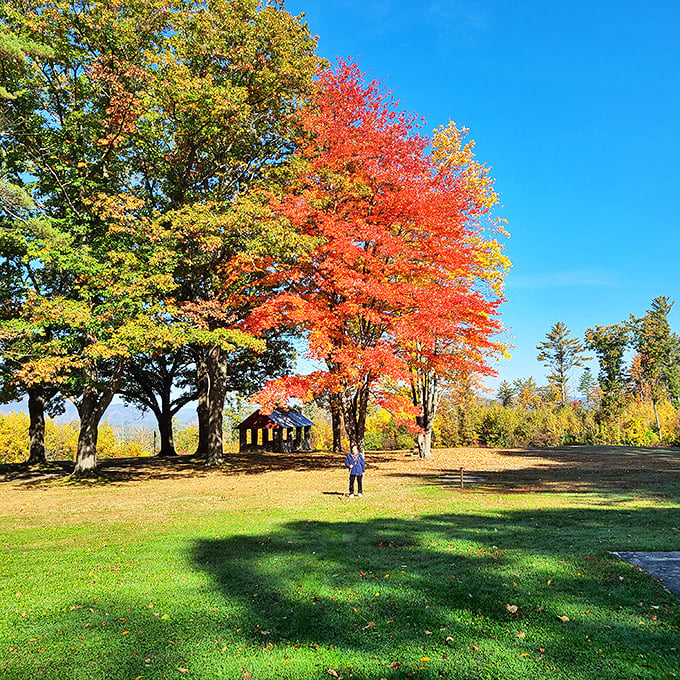 Mother Nature showing off her fall wardrobe at its finest&mdash;where maple trees dress in their Sunday best and visitors become impromptu photographers. 