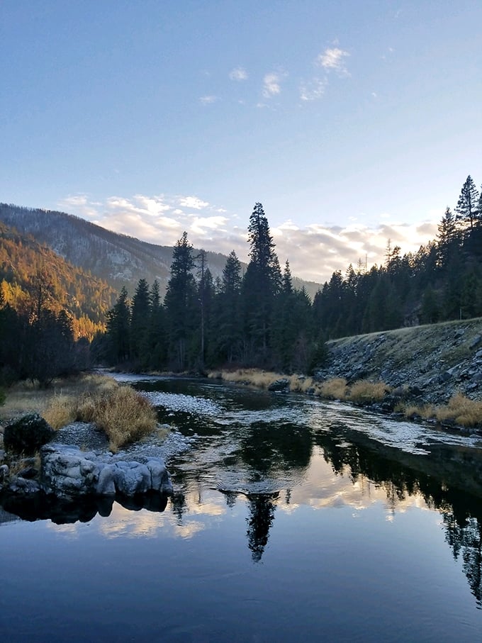That magical moment when the setting sun transforms ordinary water into liquid gold, reflecting pine sentinels in perfect symmetry.