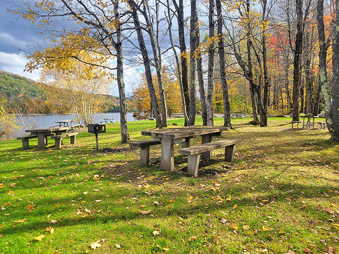 Picnic tables with million-dollar views&mdash;no reservation required. Mt. Mills offers lakeside dining where Mother Nature provides the ambiance and you bring the feast.