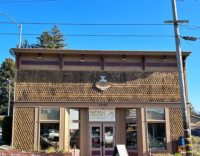 The Natural History Museum packs the wonders of Humboldt's ecosystems into a charming historic building &ndash; education wrapped in nostalgia.