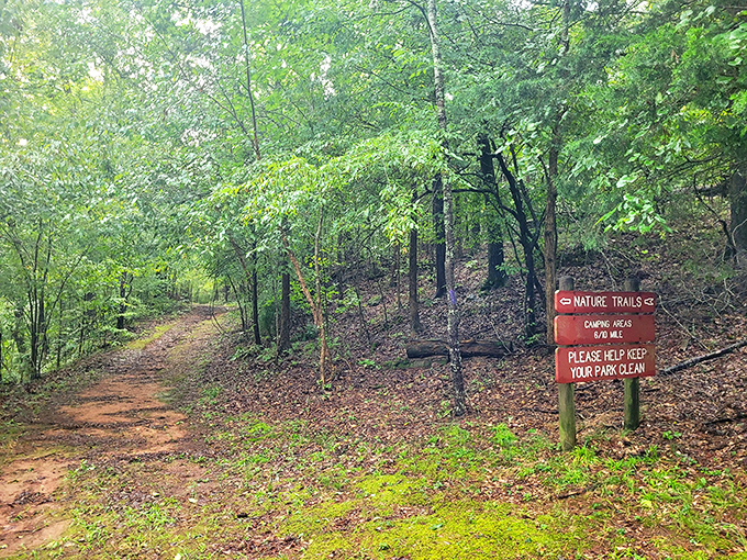 The trail ahead promises adventure, questionable bug encounters, and the kind of exercise that doesn't feel like punishment.