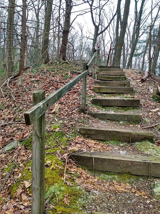 These weathered wooden steps lead upward through the forest like something from a Tolkien novel. Adventure awaits!