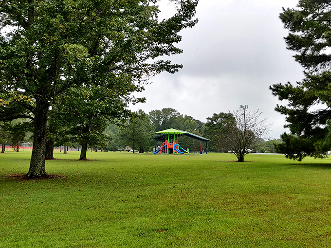 Northside Park offers that increasingly endangered species: playground equipment simple enough that helicopter parents can occasionally exhale.