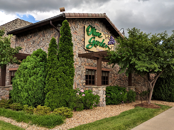 Olive Garden's rustic stone exterior might be chain dining, but it's where Cape Girardeau gathers for endless breadstick therapy.