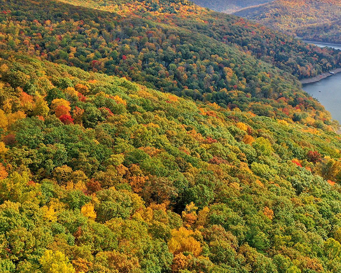 A painter's palette spilled across the hillside. From this vantage point, you can almost hear the trees whispering, "Yes, we dressed up just for you."