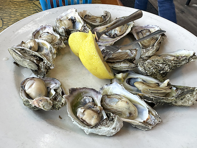 Oysters arranged like a delicious clock, with lemon wedges standing by for their moment of citrus glory.