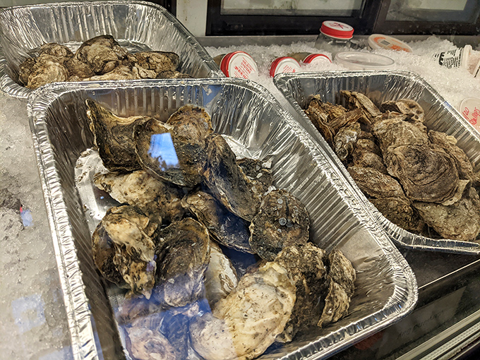 Fresh oysters waiting patiently on ice, because sometimes the best things in life require a little shucking and a lot of horseradish.