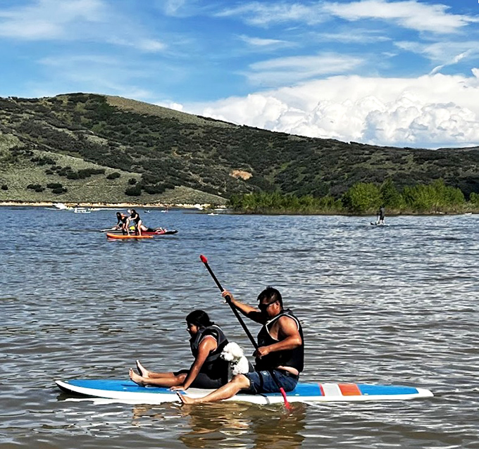 Paddleboarding paradise where the water's so calm, even beginners look like pros (until they don't).
