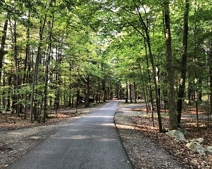 The road less traveled&mdash;except by smart Vermonters who know exactly where it leads. Adventure awaits around every bend.